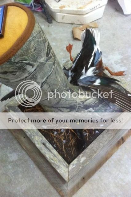 Pin Spoonbill Duck Mounts