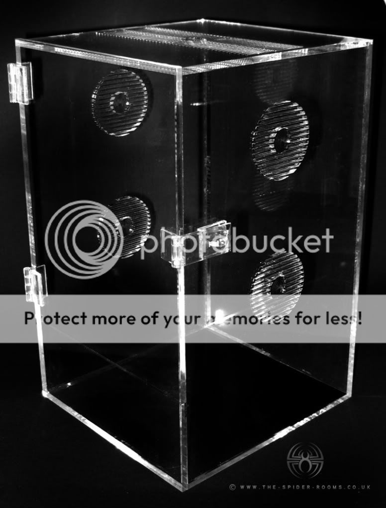 Acrylic T Cages | Reptile Forums