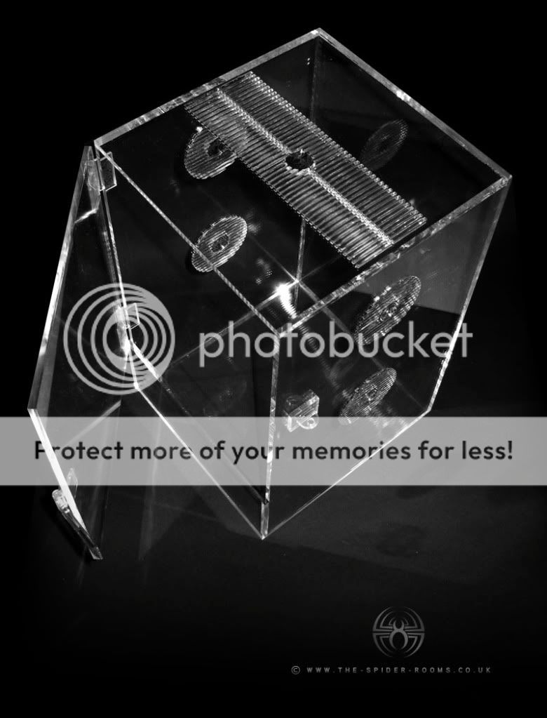 Acrylic T Cages | Reptile Forums